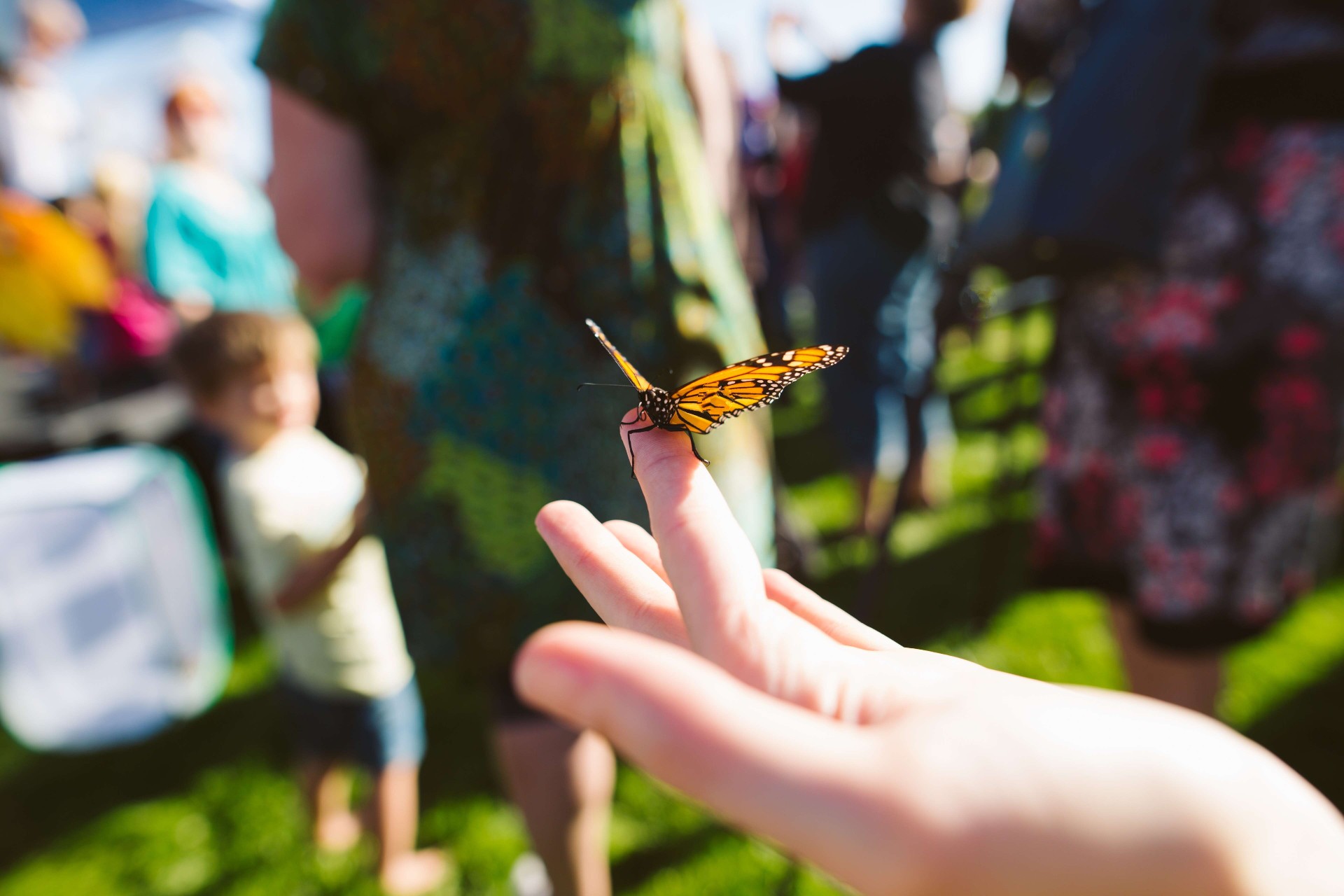 Natural Funerals. Funeral Directors & Cremation Services in Adelaide.